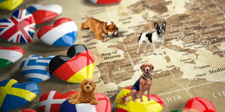 European Dog Breeds | Dog Breeds FAQ