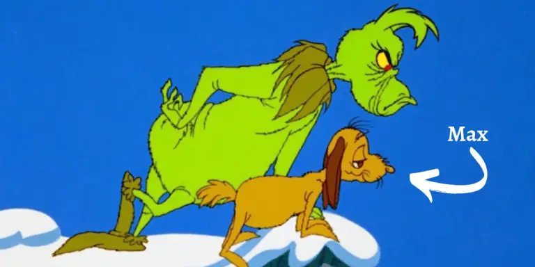 Uncovering (the Mystery) of Max's Breed from "The Grinch"