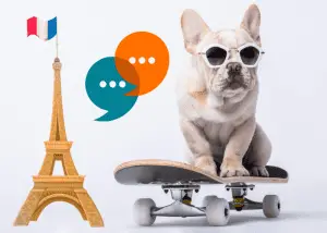 15 Dog Commands in French ( With Audio ) | Dog Breeds FAQ