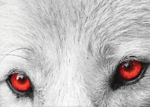 Wolf Eye Colors: The Science Behind Their Stunning Hues